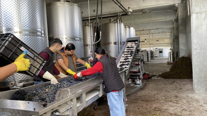 Kataro Wine continues Artsakh's winemaking tradition