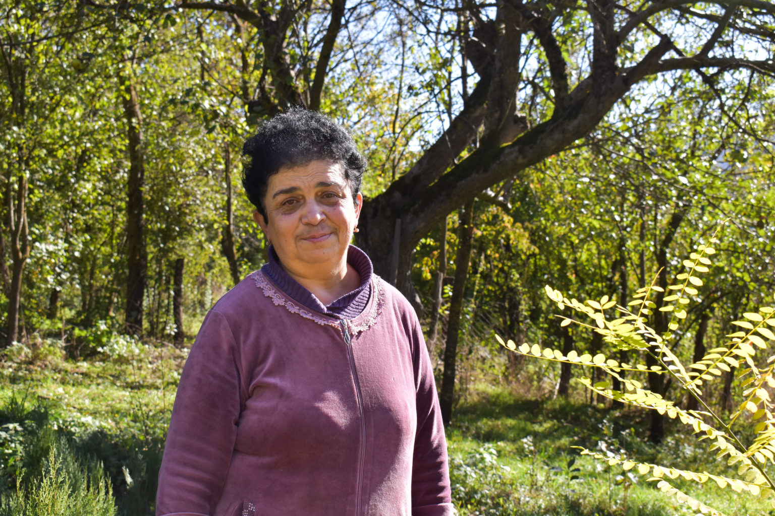 Armenia Tree Project's Backyard Nursery Program provides financial ...