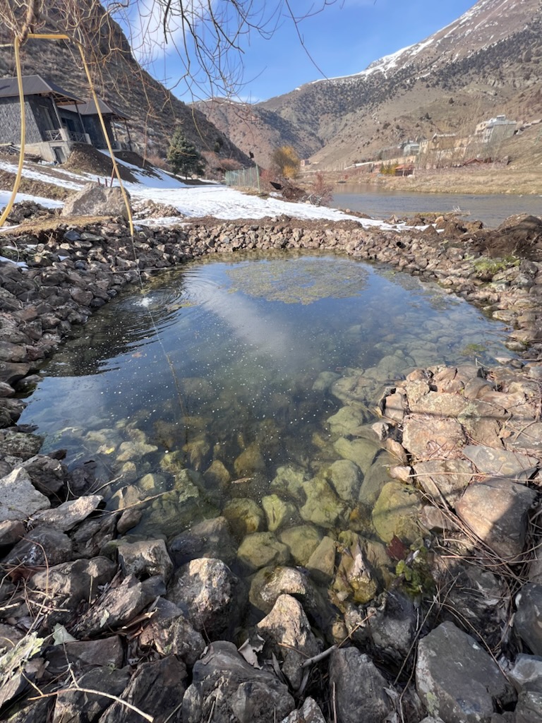 The natural pond at Camp Bjni - The Armenian Weekly
