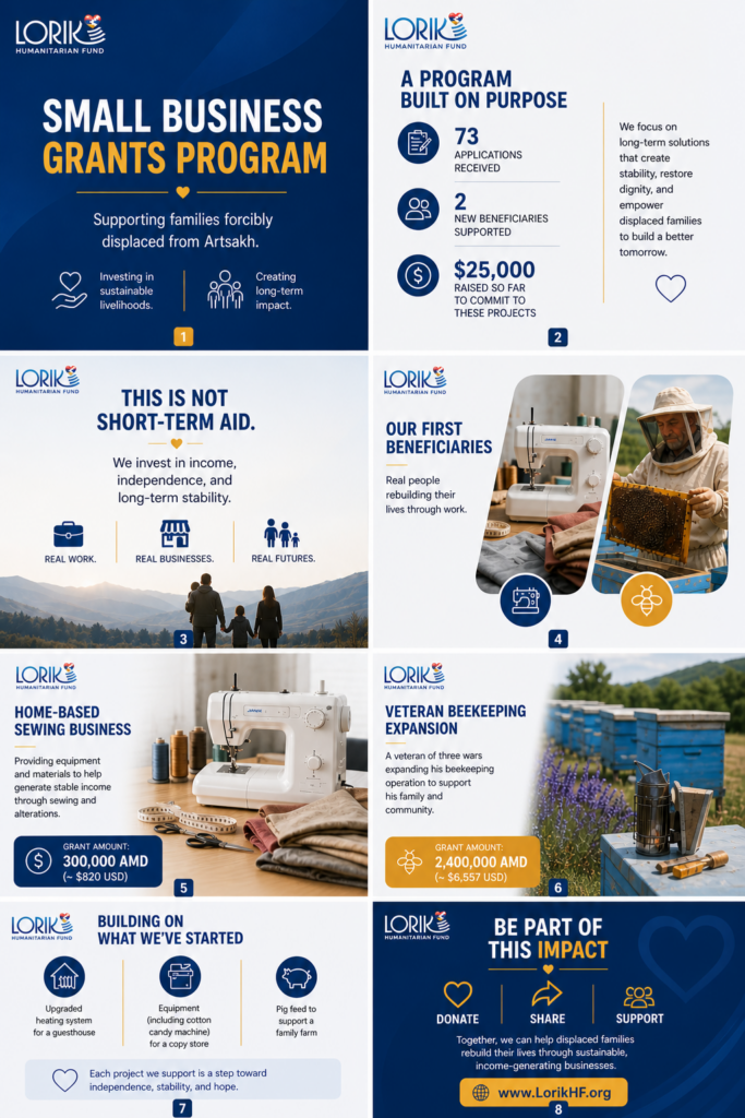 Lorik Humanitarian Fund grants full graphic - The Armenian Weekly